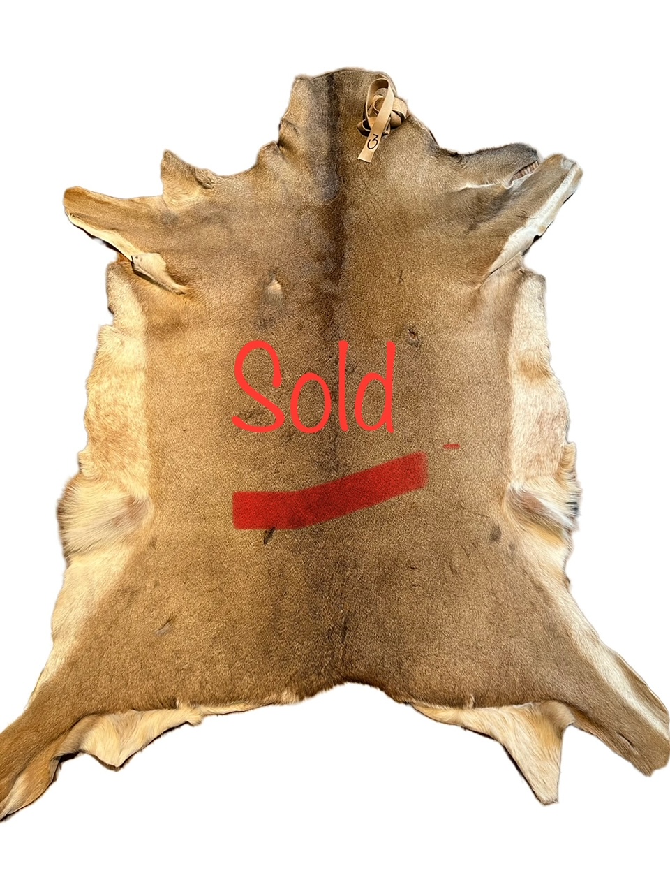 Sold - Traditional Tanners