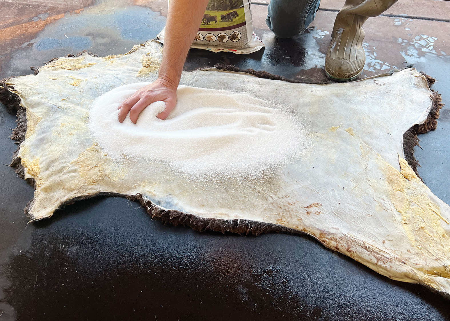 Prep Your Hides - Traditional Tanners
